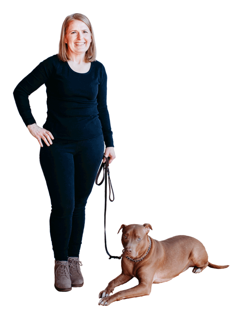 Mandy’s Dog Training – Park Ridge Dog Training